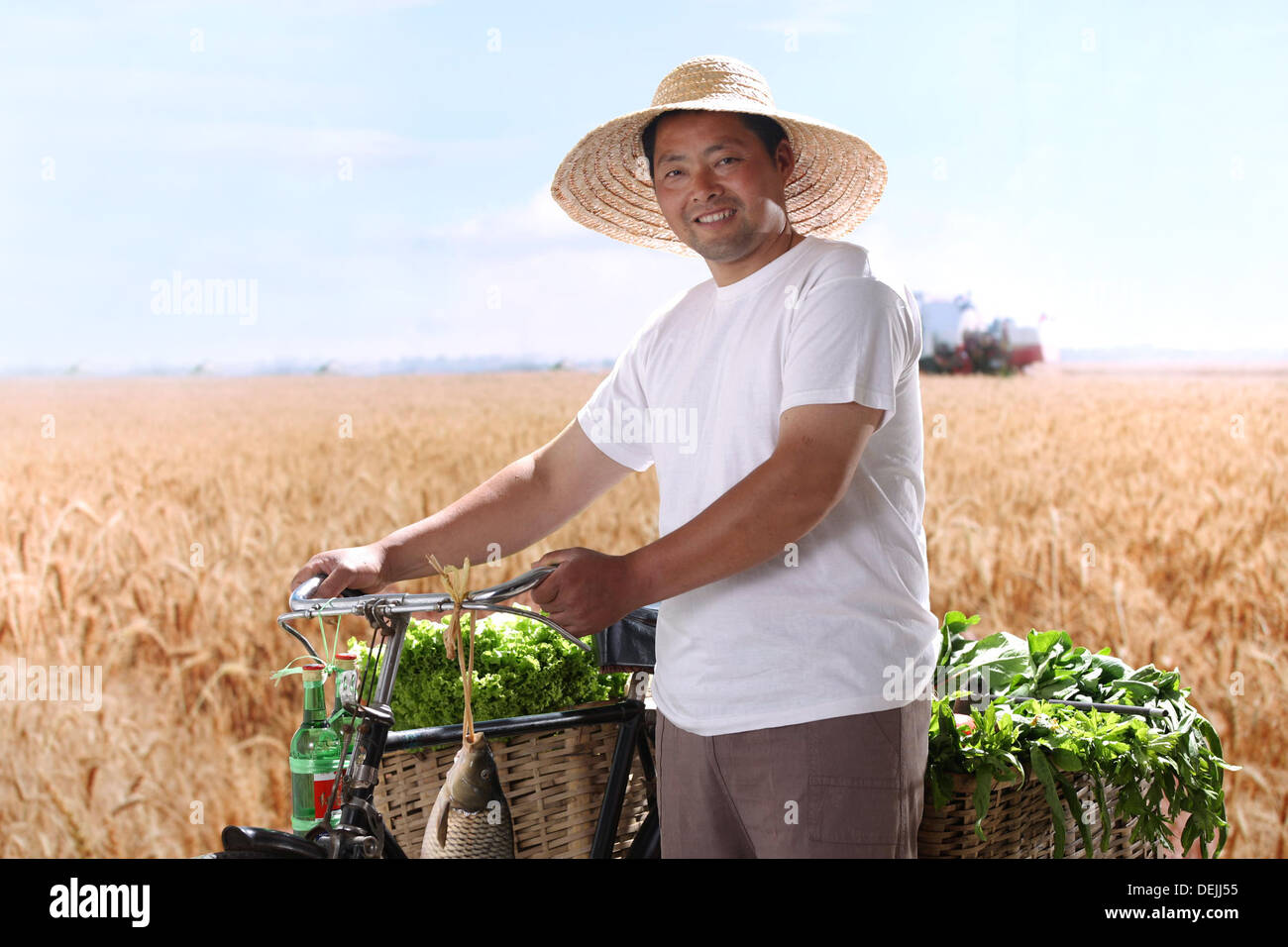 Farmer walking bike vegetable hi-res stock photography and images - Alamy