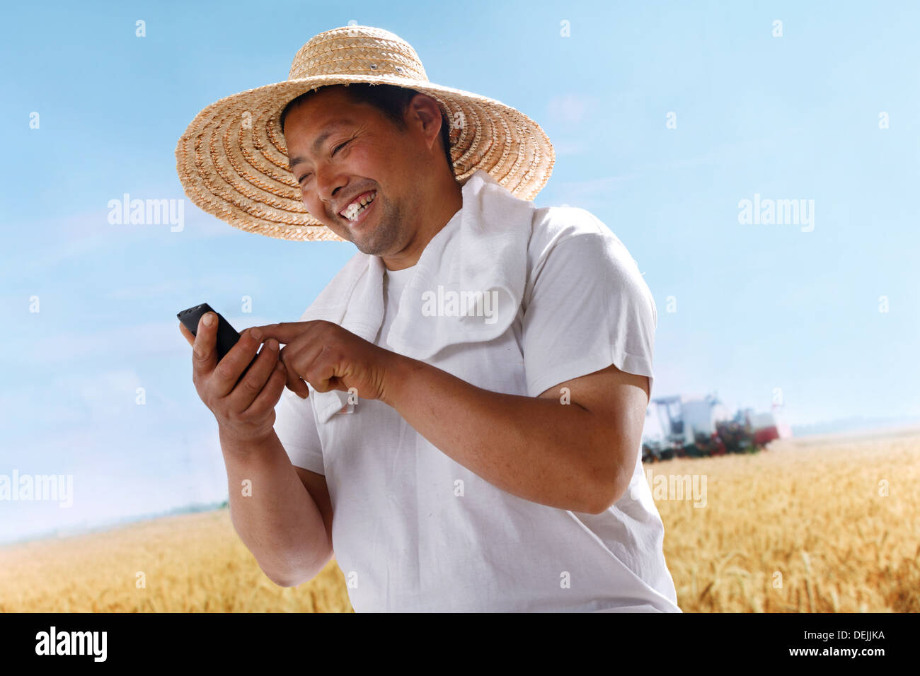 Farmer making phone call in wheat field Stock Photo - Alamy