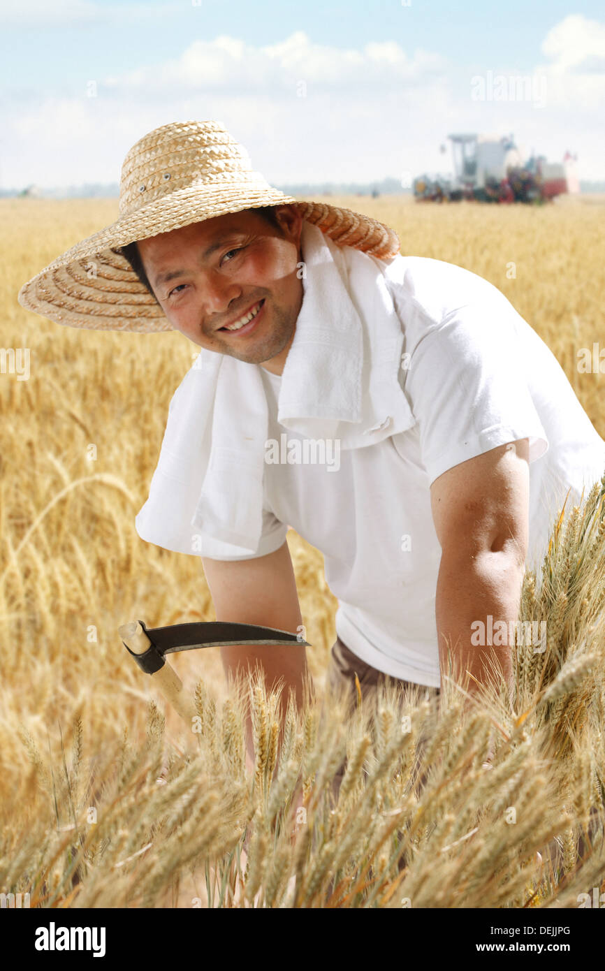 Farmer harvest wheat sickle hi-res stock photography and images - Alamy