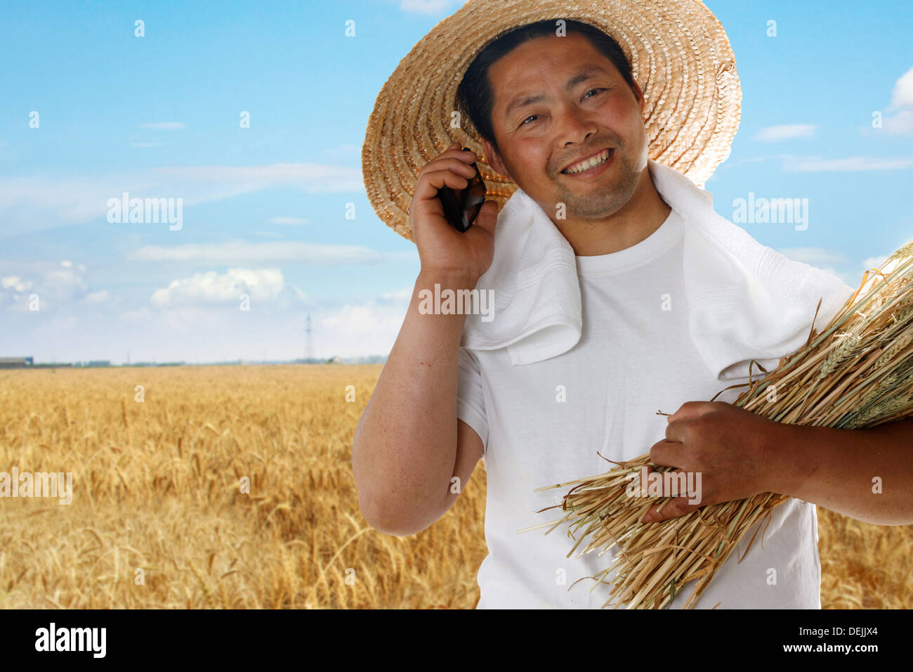 Farmer holding wheat and making phone call Stock Photo - Alamy