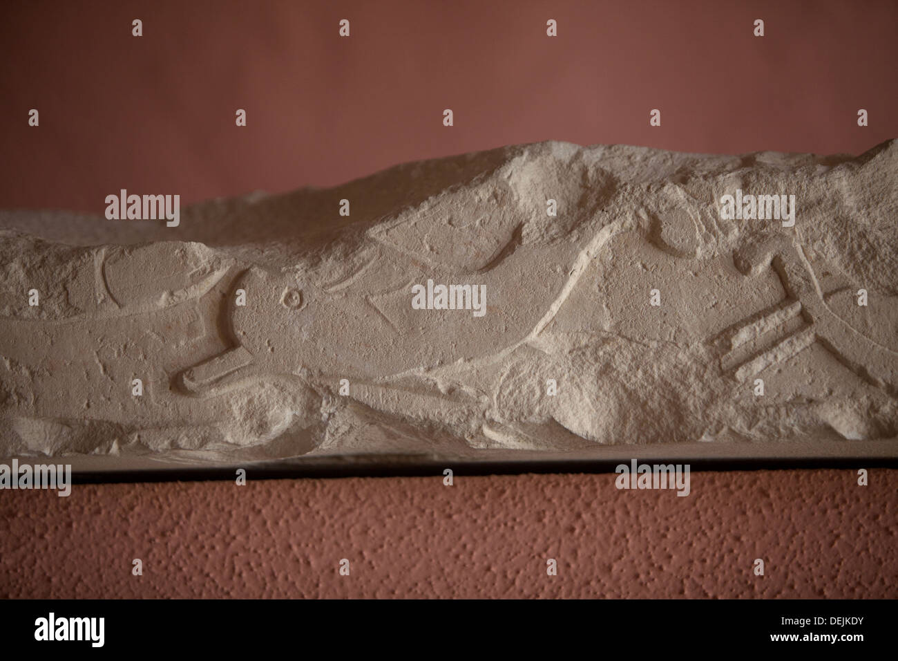 A Roman sculpture with the image of a dolphin is displayed in the ...