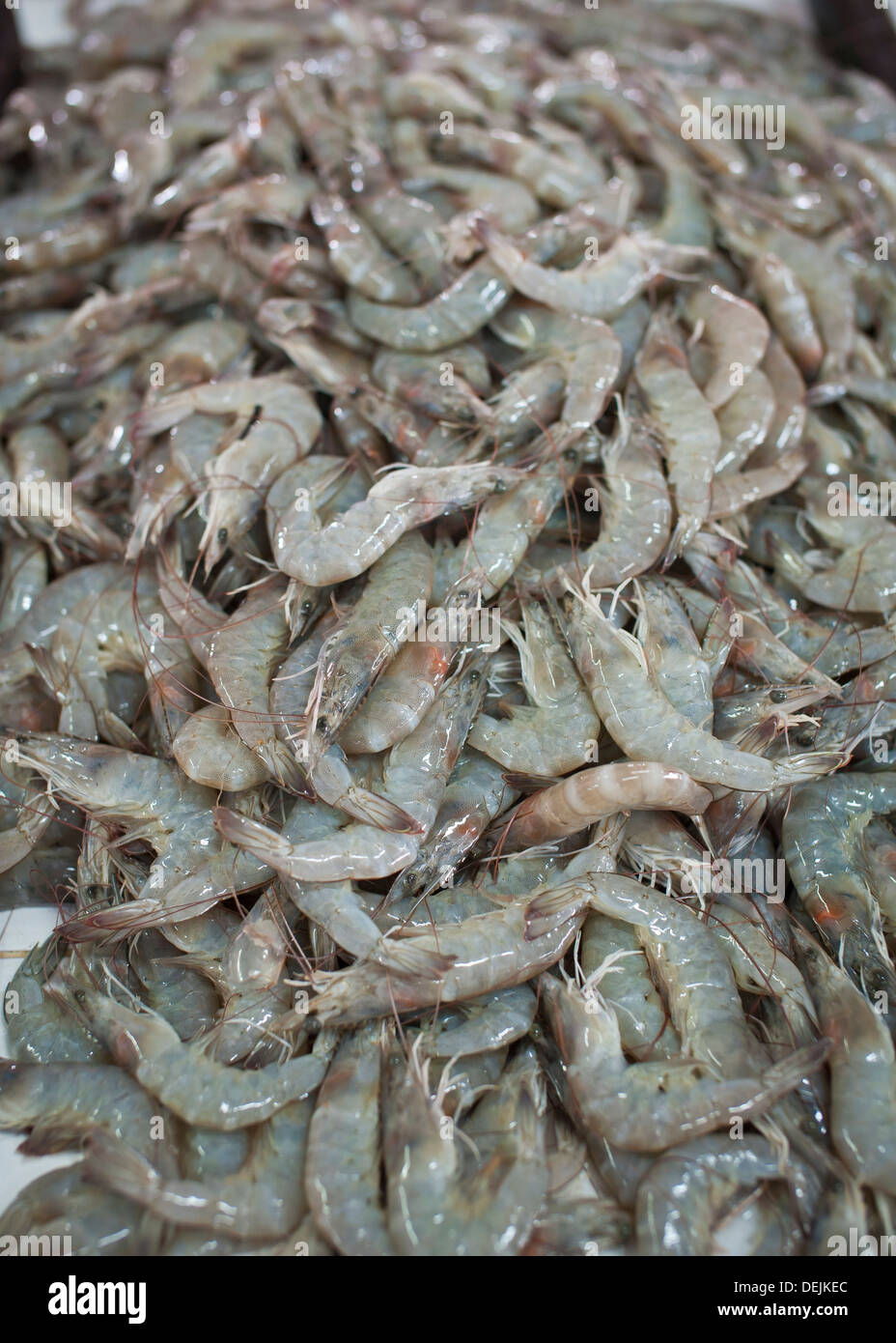 Malaysia and seafood hi-res stock photography and images - Alamy