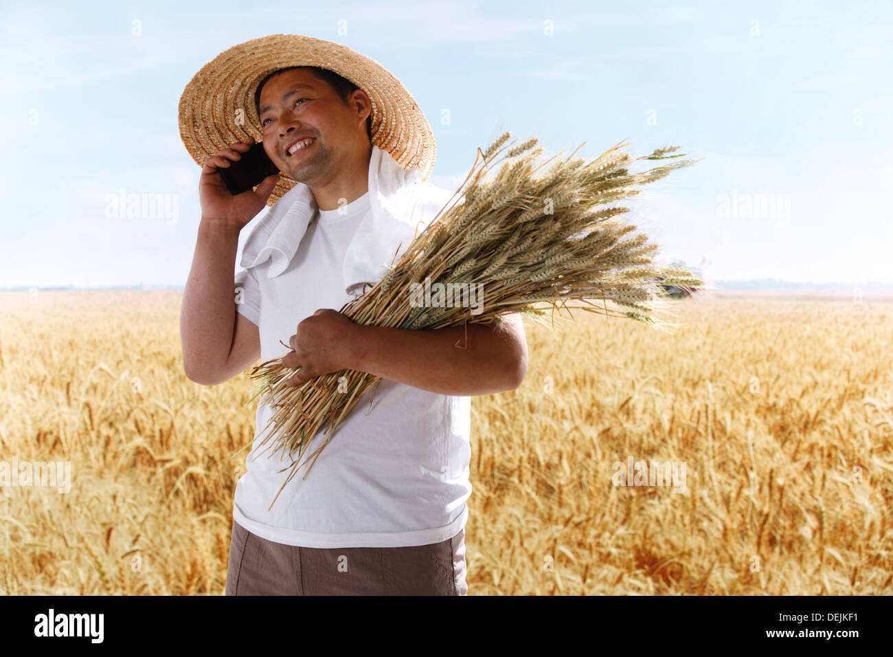 Farmer holding wheat and making phone call Stock Photo - Alamy