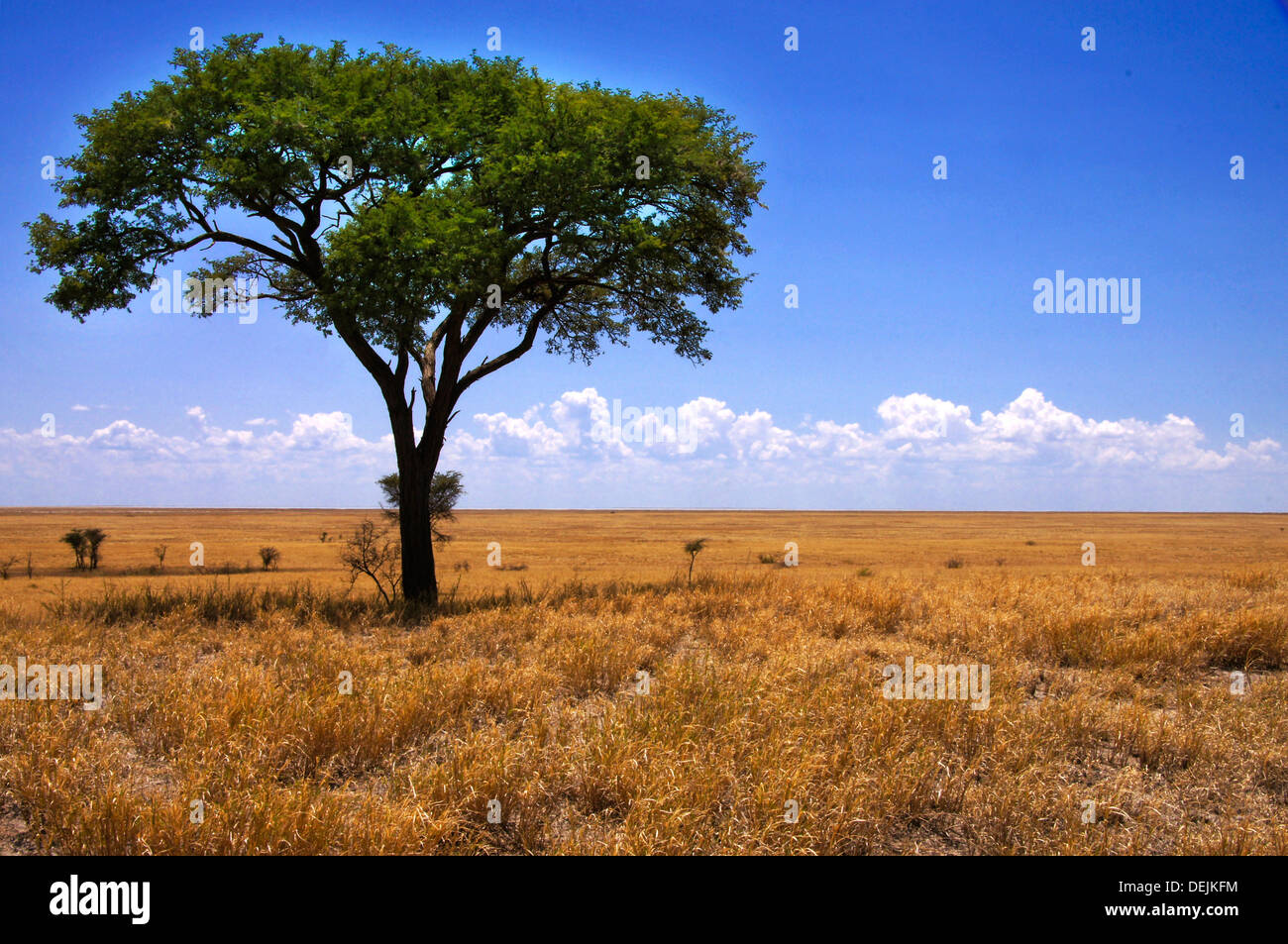 Lekhubu island hi-res stock photography and images - Alamy