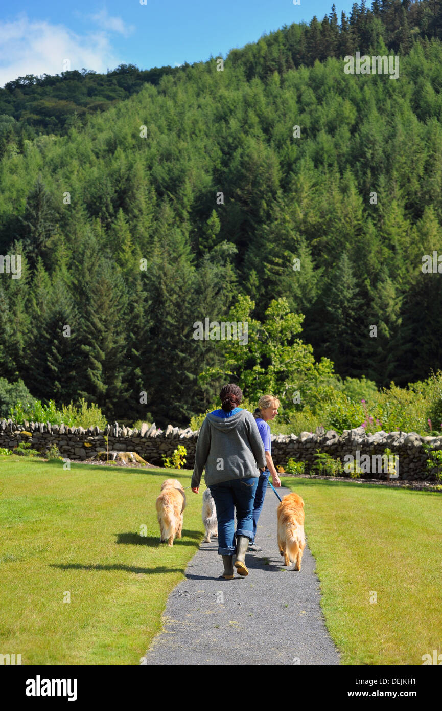 Two women walking dog hi-res stock photography and images - Alamy