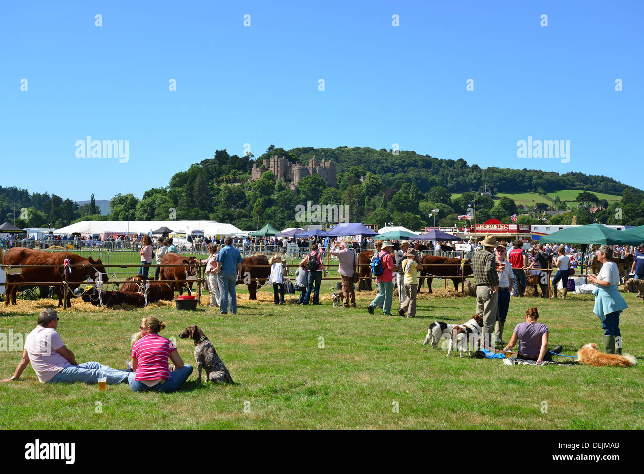 The Dunster Agricultural Show, Dunster Castle Lawns, Dunster, Somerset ... The Dunster Agricultural Show, Dunster Castle Lawns, Dunster, Somerset ...
