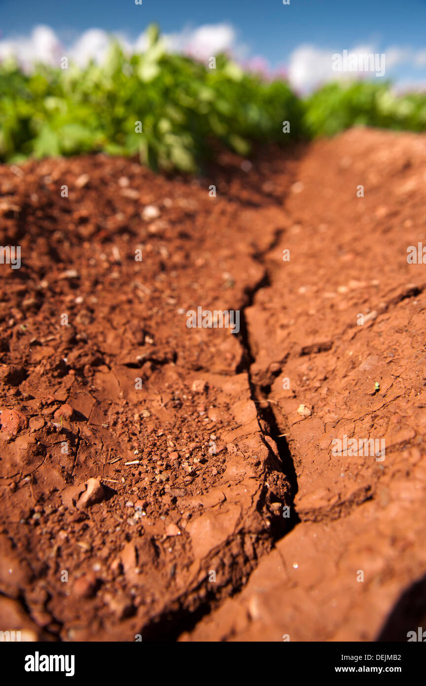 Soil cracks hi-res stock photography and images - Alamy