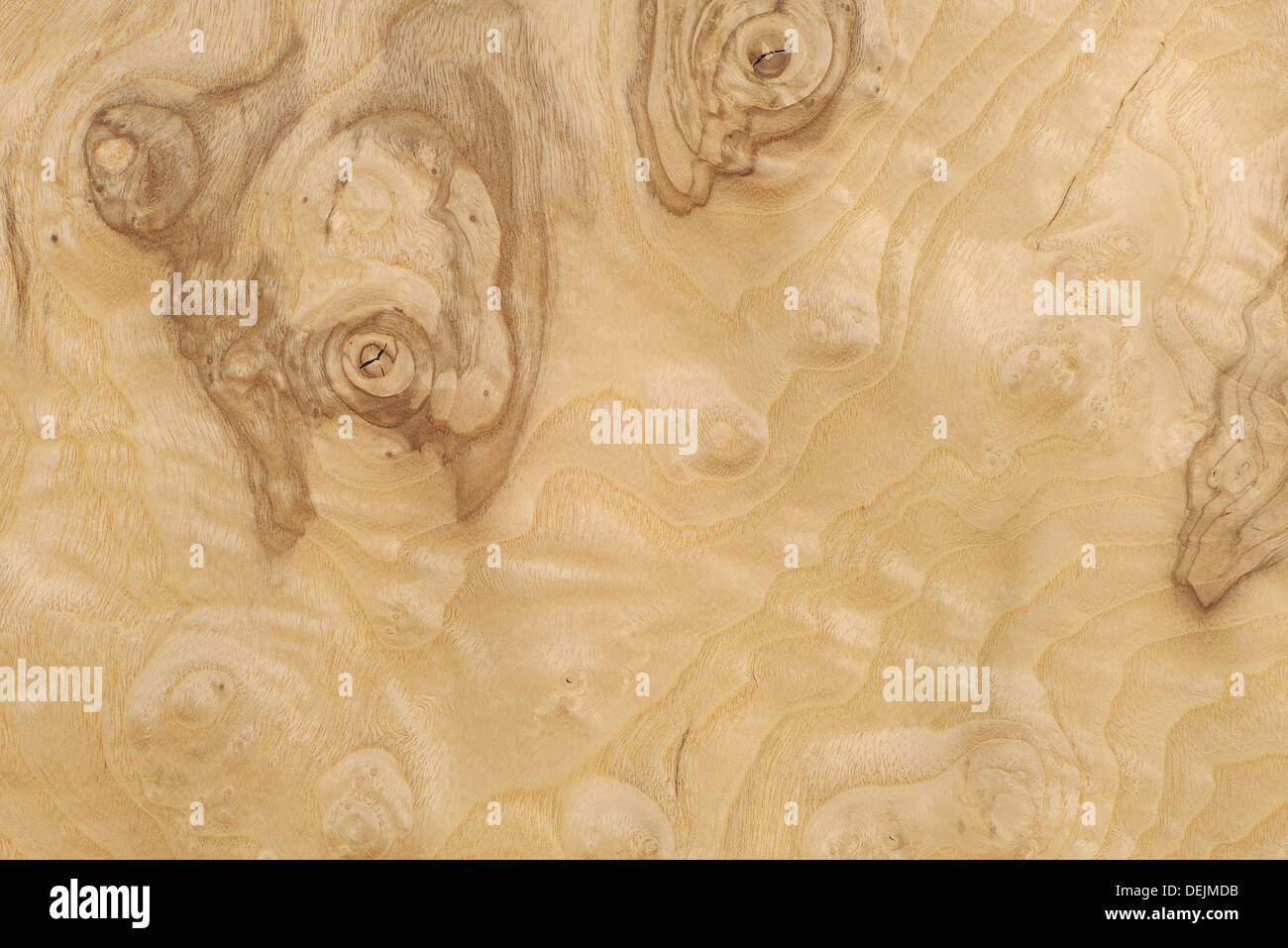 Texture of wood veneer roots closeup Stock Photo - Alamy