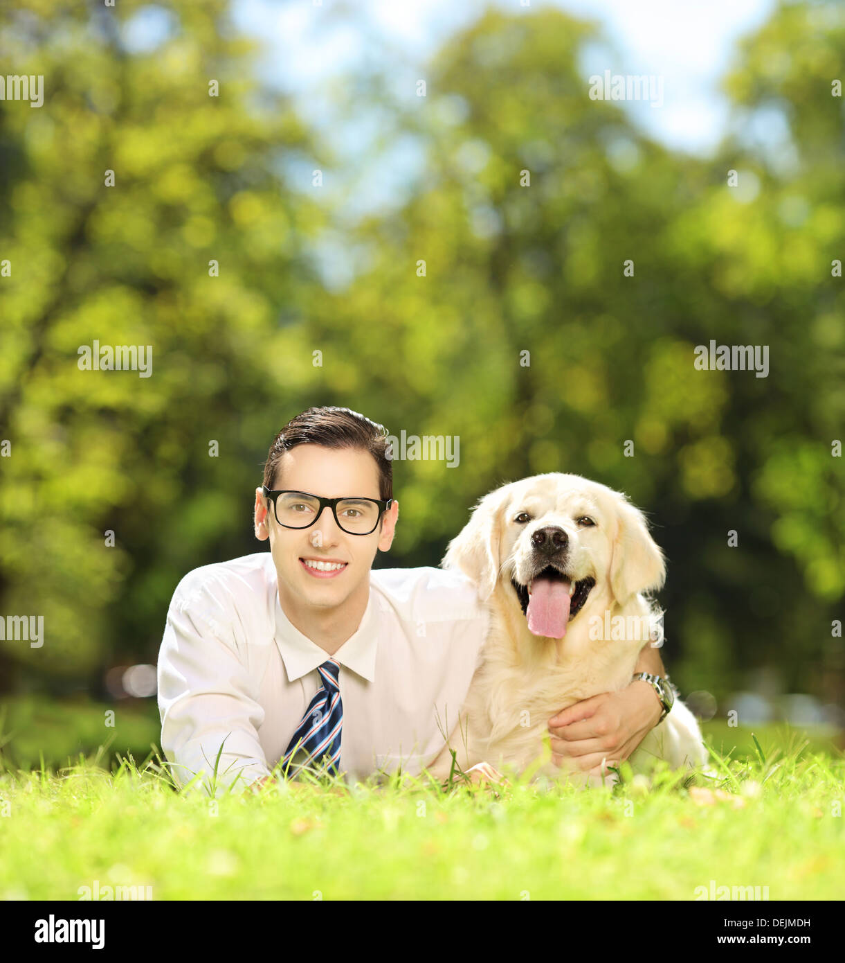 Retriever lying on grass hi-res stock photography and images - Alamy