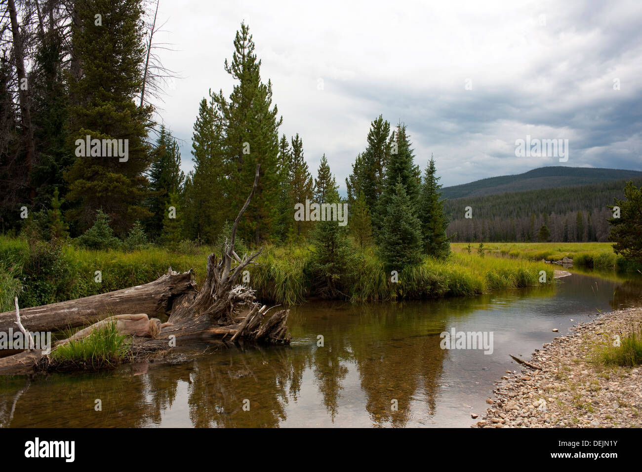 Birth of the Colorado River Stock Photo - Alamy