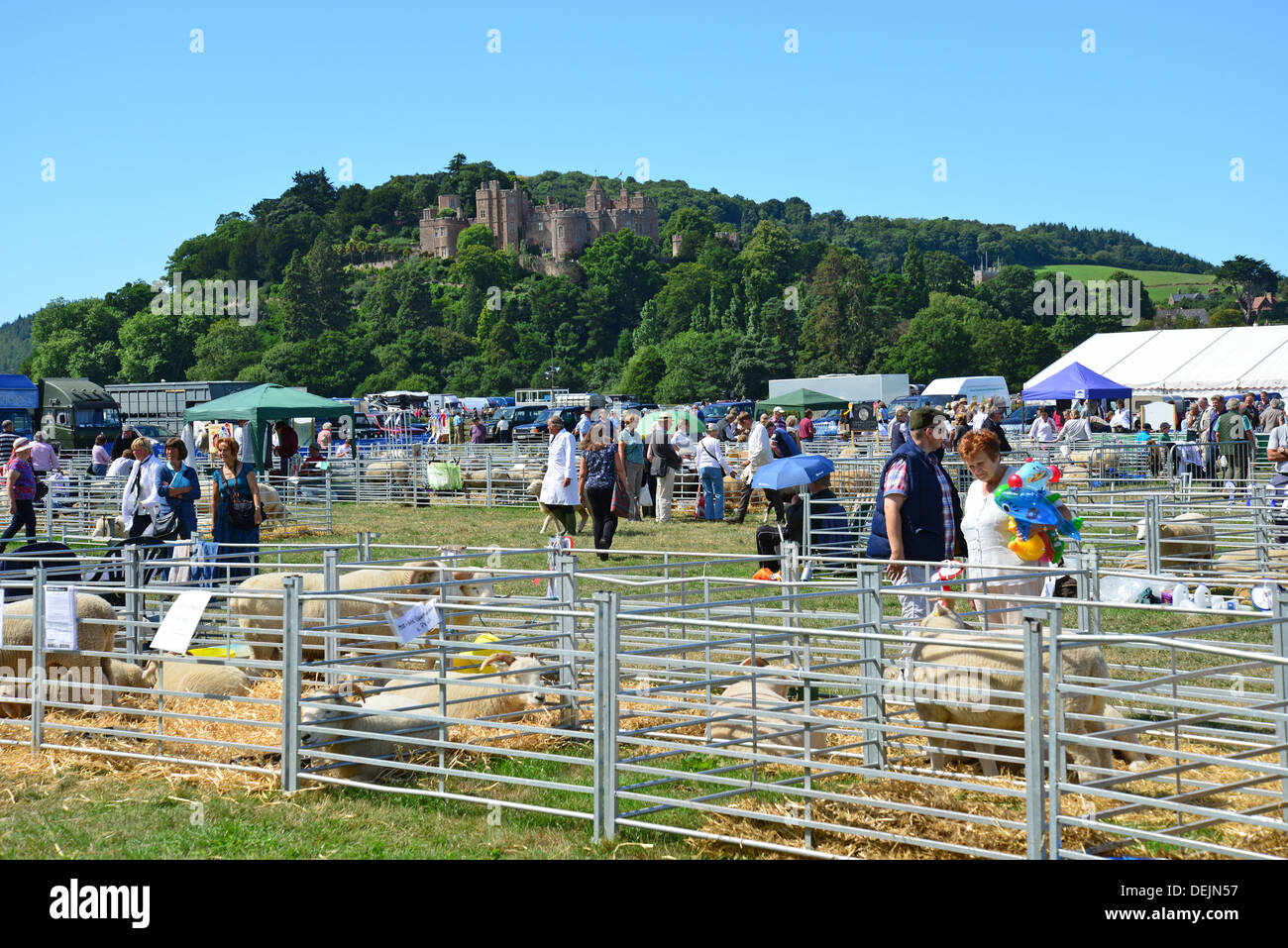 Sheep pens at The Dunster Agricultural Show, Dunster Castle Lawns ... Sheep pens at The Dunster Agricultural Show, Dunster Castle Lawns ...