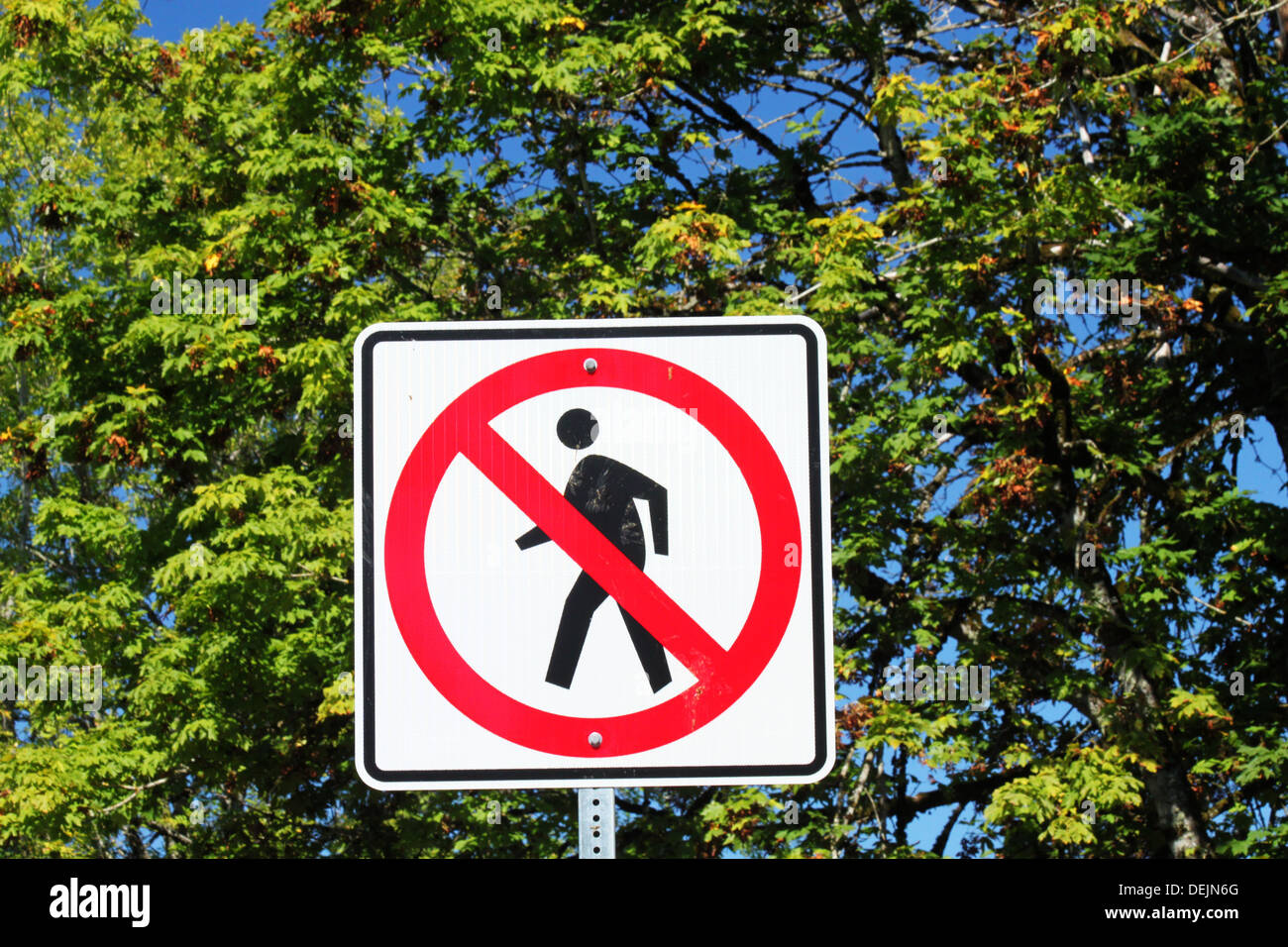 No pedestrian crossing sign hi-res stock photography and images - Alamy