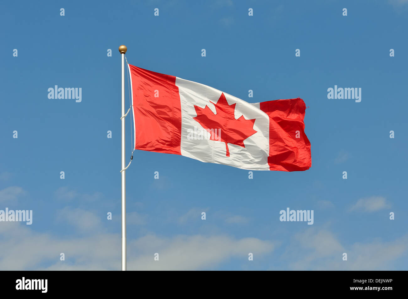 Canadian maple leaf hi-res stock photography and images - Alamy