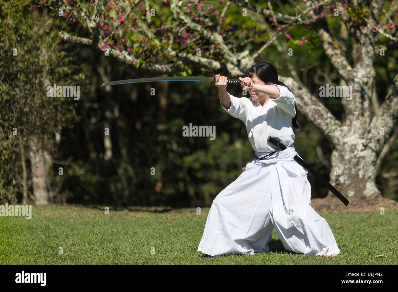 Iaido hi-res stock photography and images - Alamy