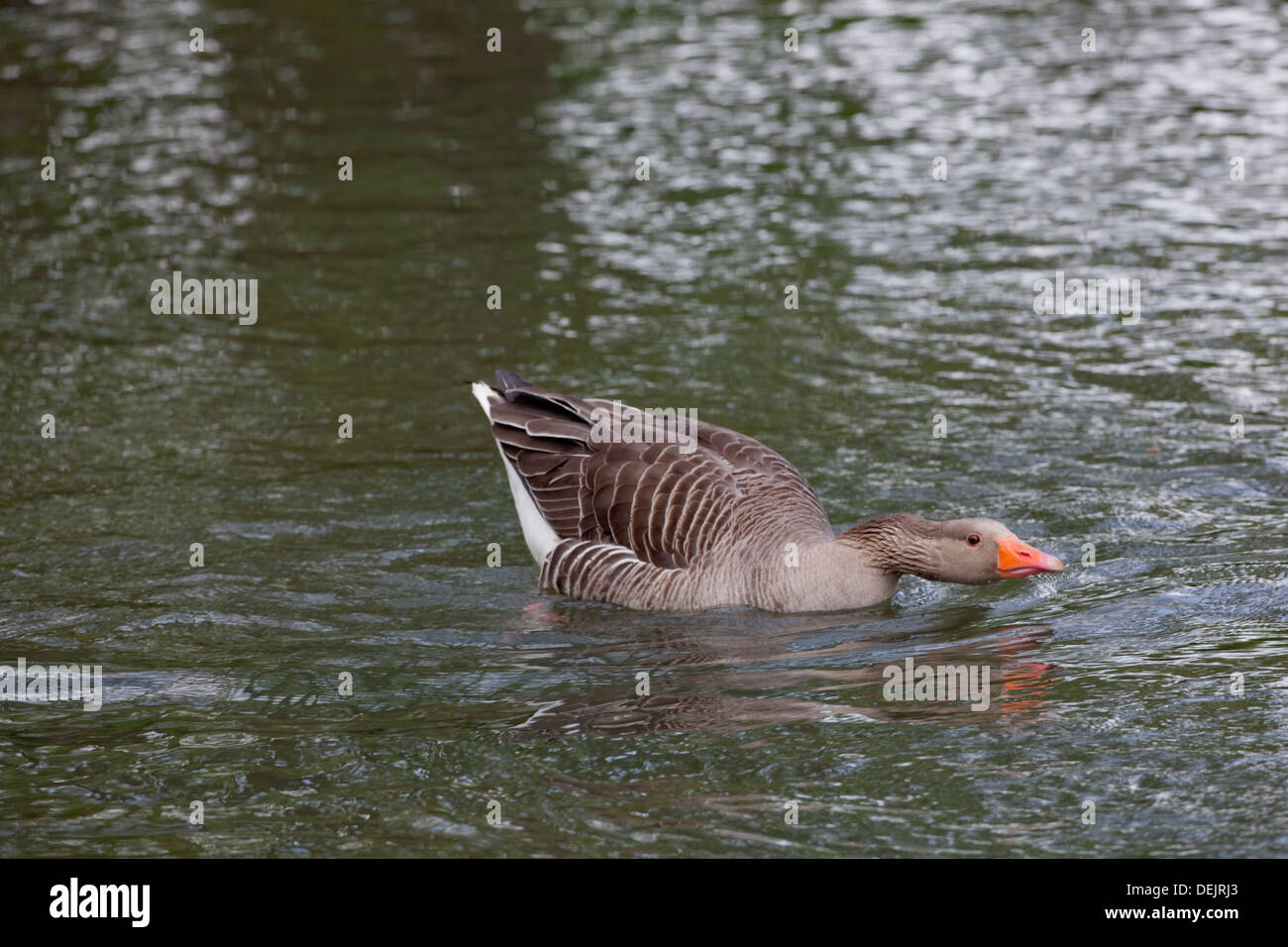Horizntal orientation hi-res stock photography and images - Alamy