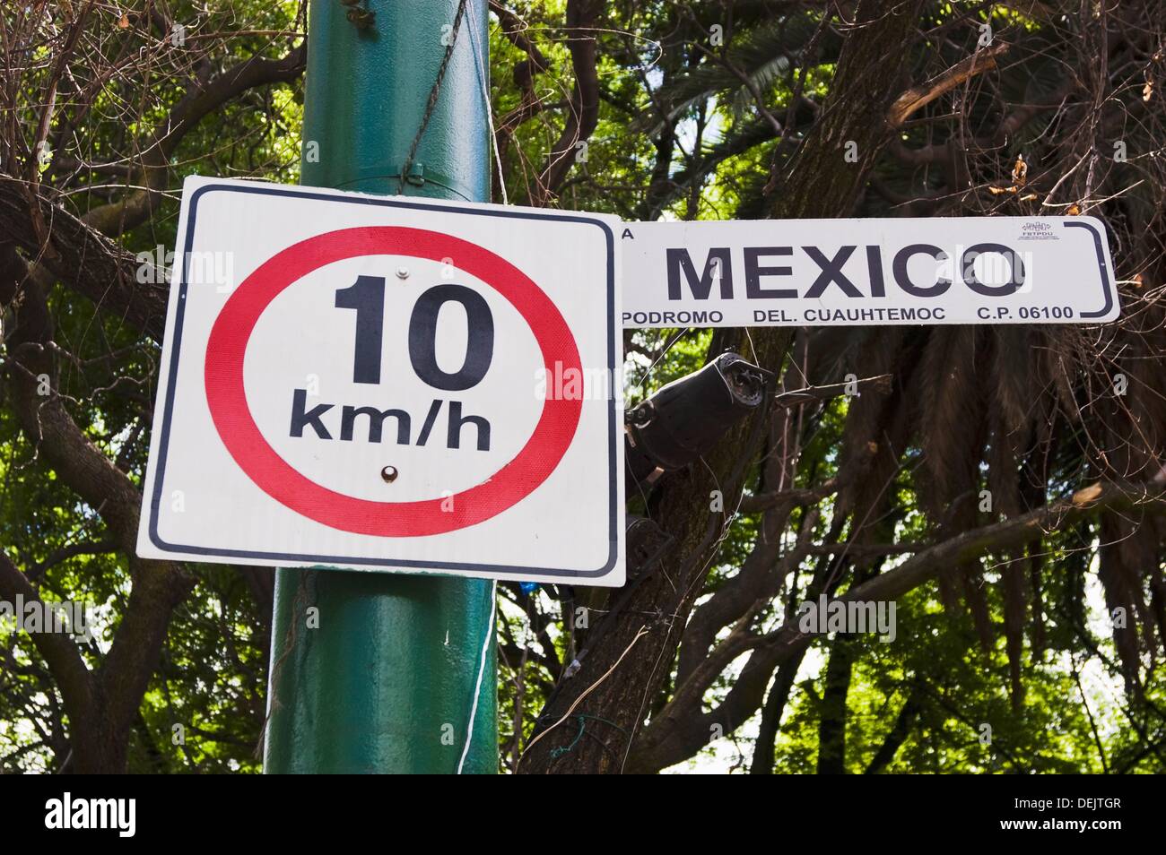 Condesa park hi-res stock photography and images - Alamy