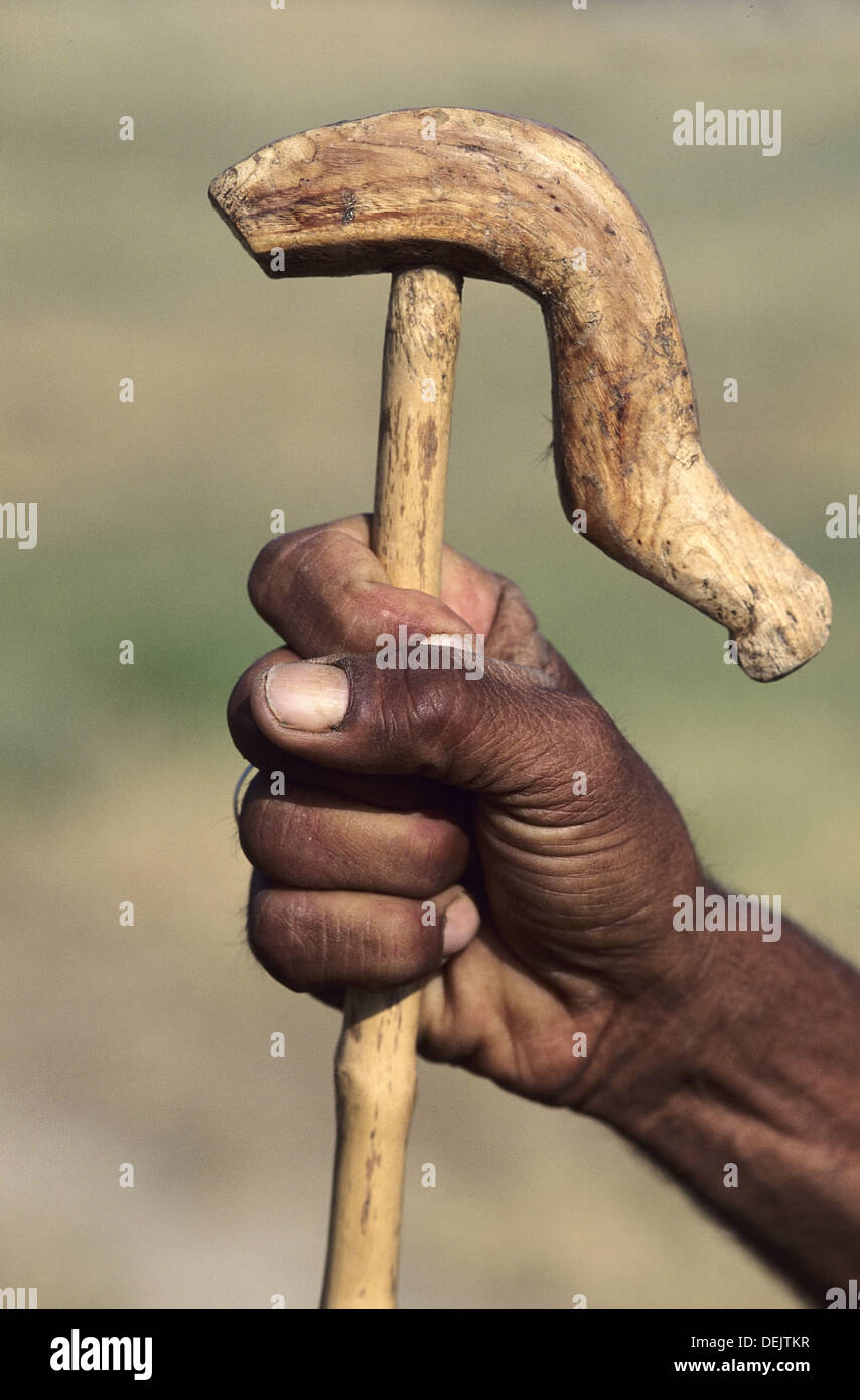 Shepherd With Crook High Resolution Stock Photography and Images - Alamy