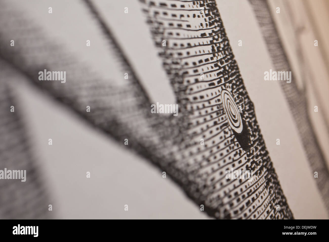 Forest print Wallpaper Stock Photo - Alamy