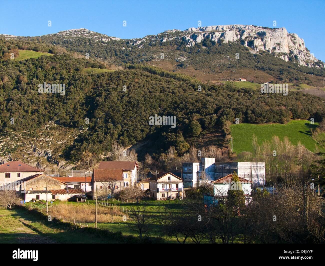 Gibaja hi-res stock photography and images - Alamy