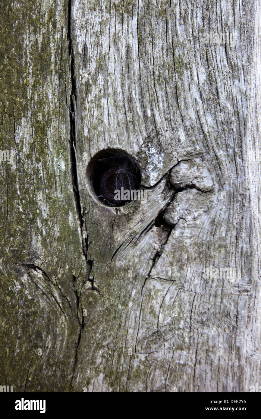 Shot hole hi-res stock photography and images - Alamy