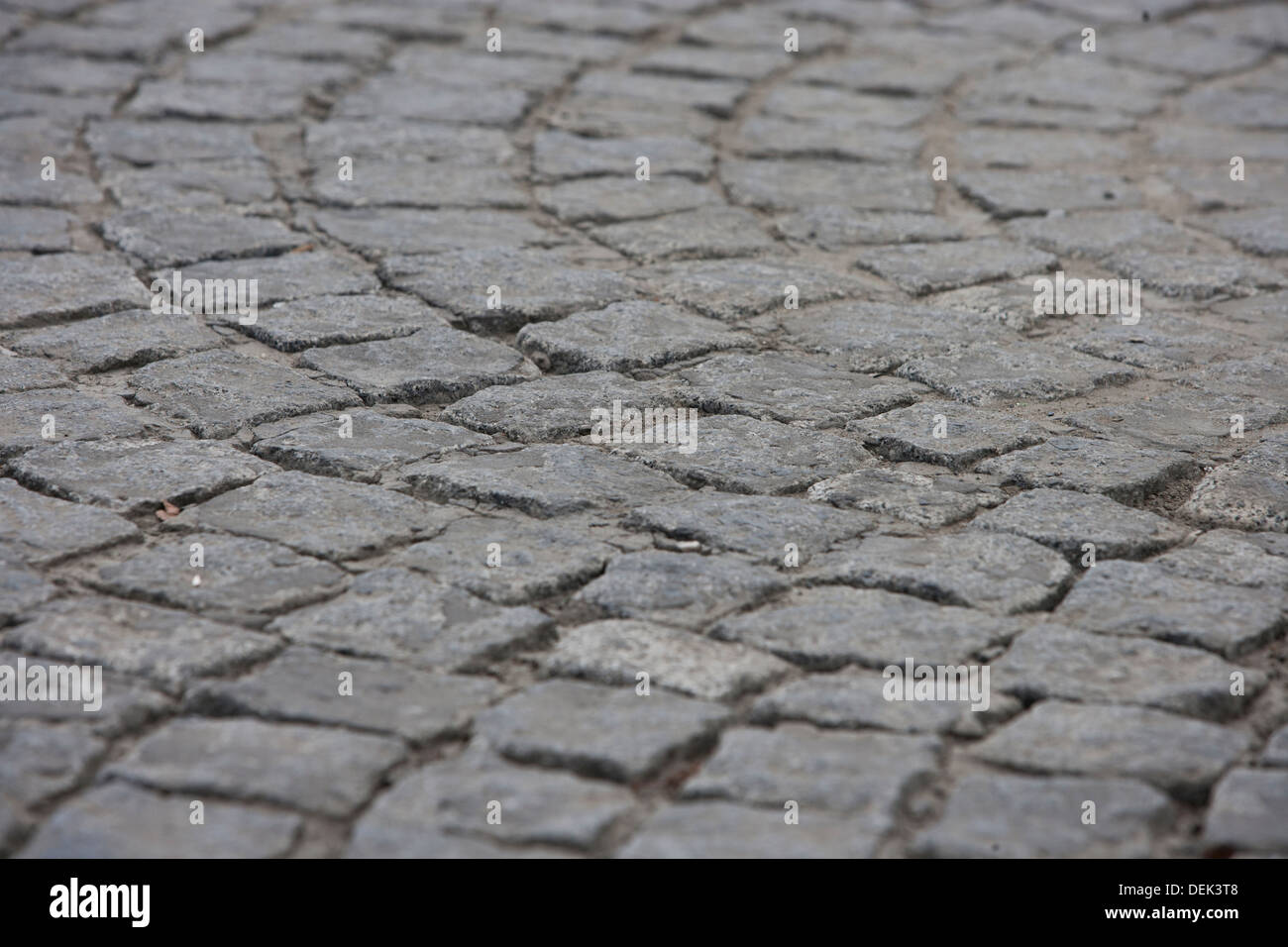 Close-up view of cobbled street Stock Photo - Alamy