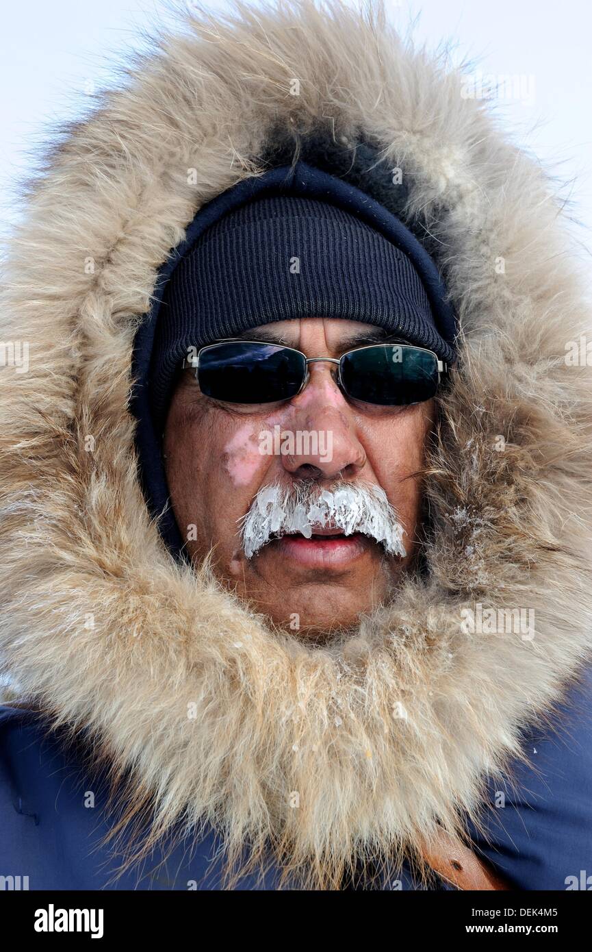 Polar bear moustache hi-res stock photography and images - Alamy