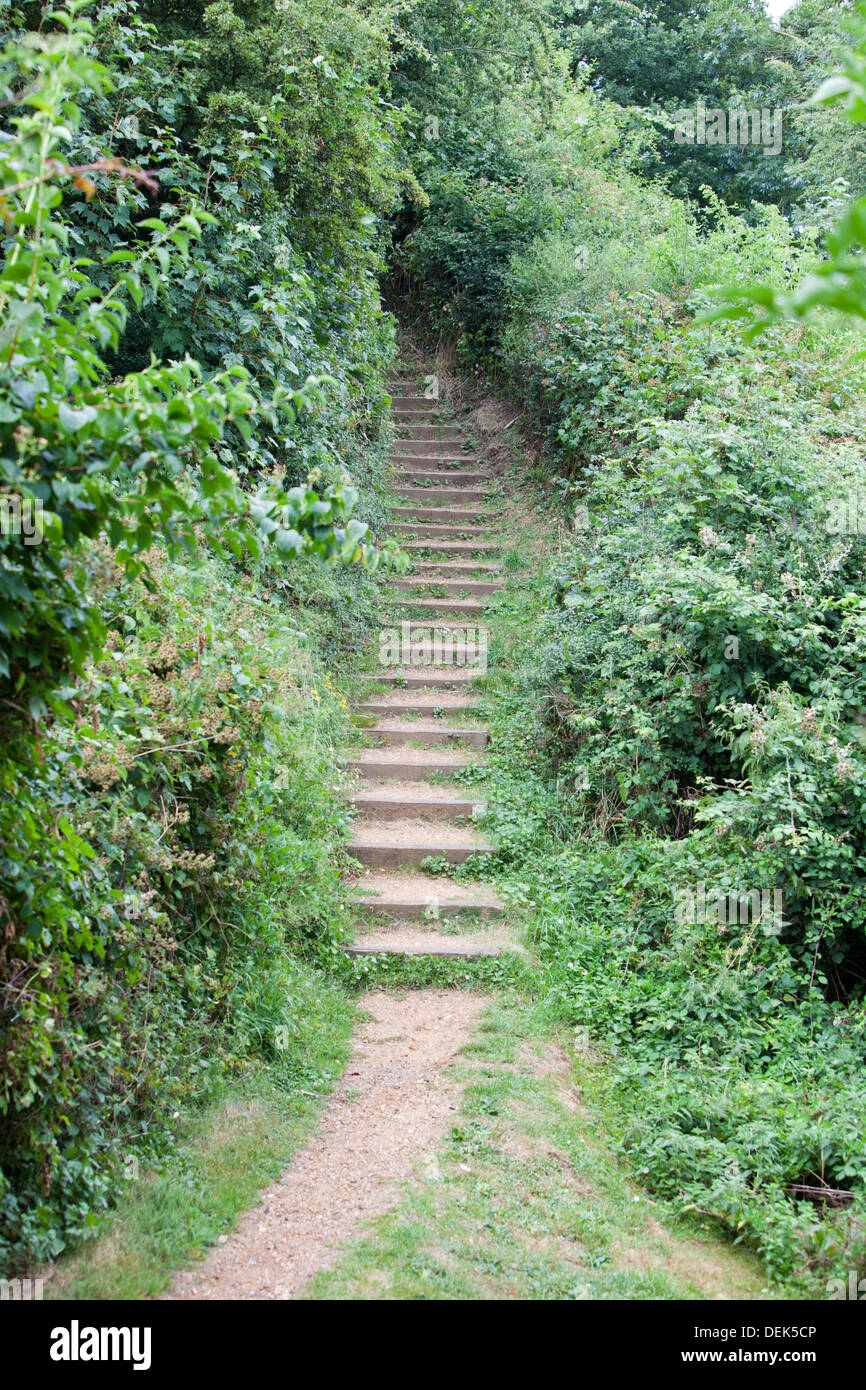 Path stairs British Park Stock Photo - Alamy