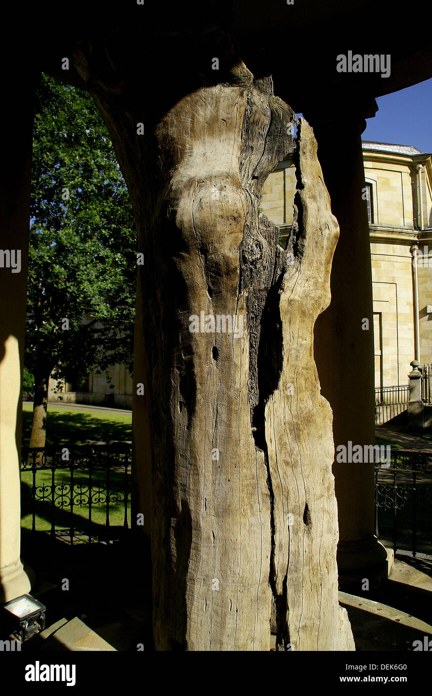 Old tree of Gernika, Meeting house, Gernika. Biscay, Euskadi, Spain ...