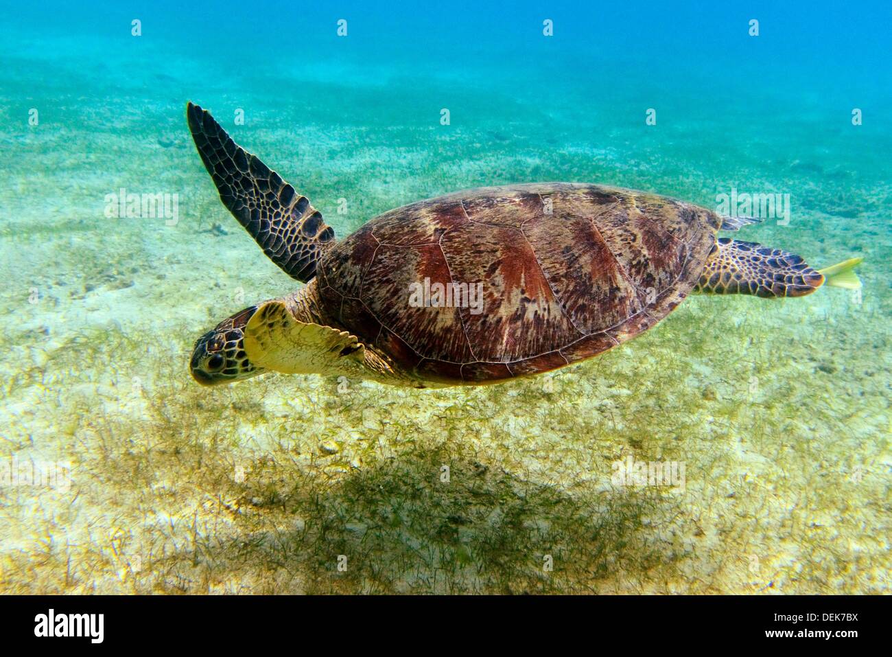 Mayotte Comores High Resolution Stock Photography and Images - Alamy