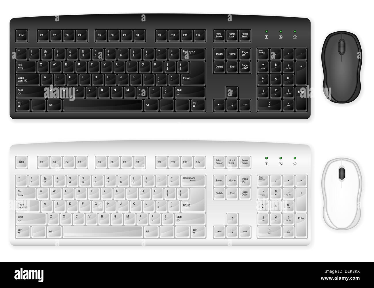 Computer keyboard and mouse on a white background. Vector illustration ...