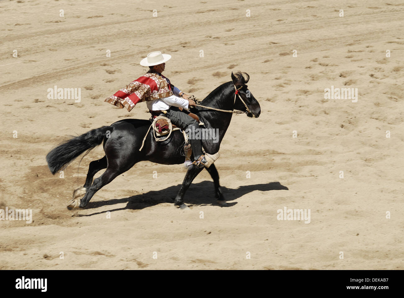 Rodéo équitation hi-res stock photography and images - Alamy