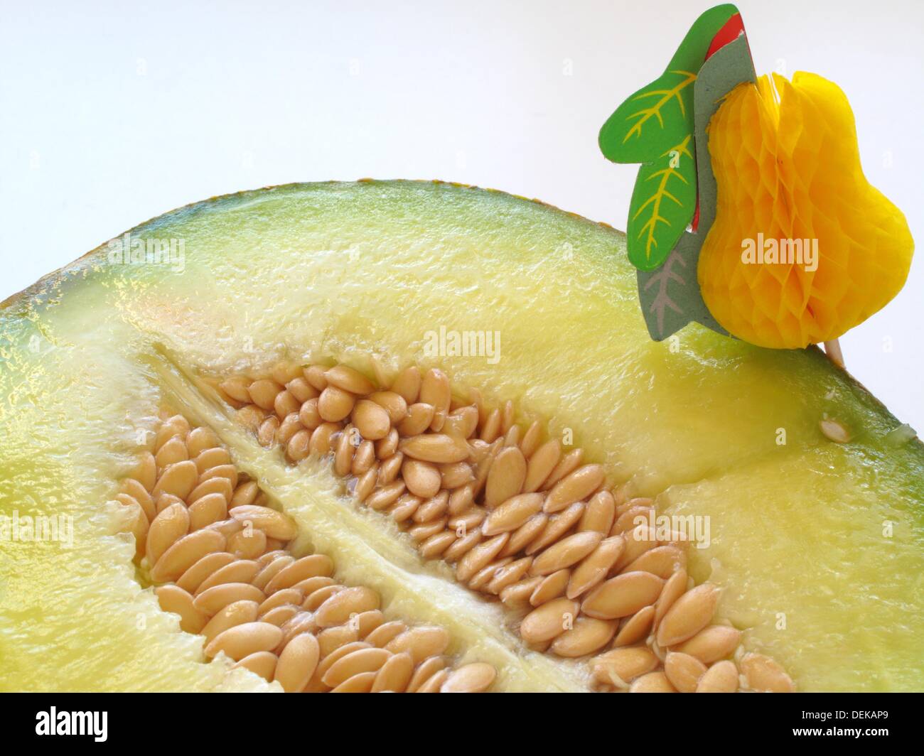 Seeds Melon Seed High Resolution Stock Photography and Images - Alamy