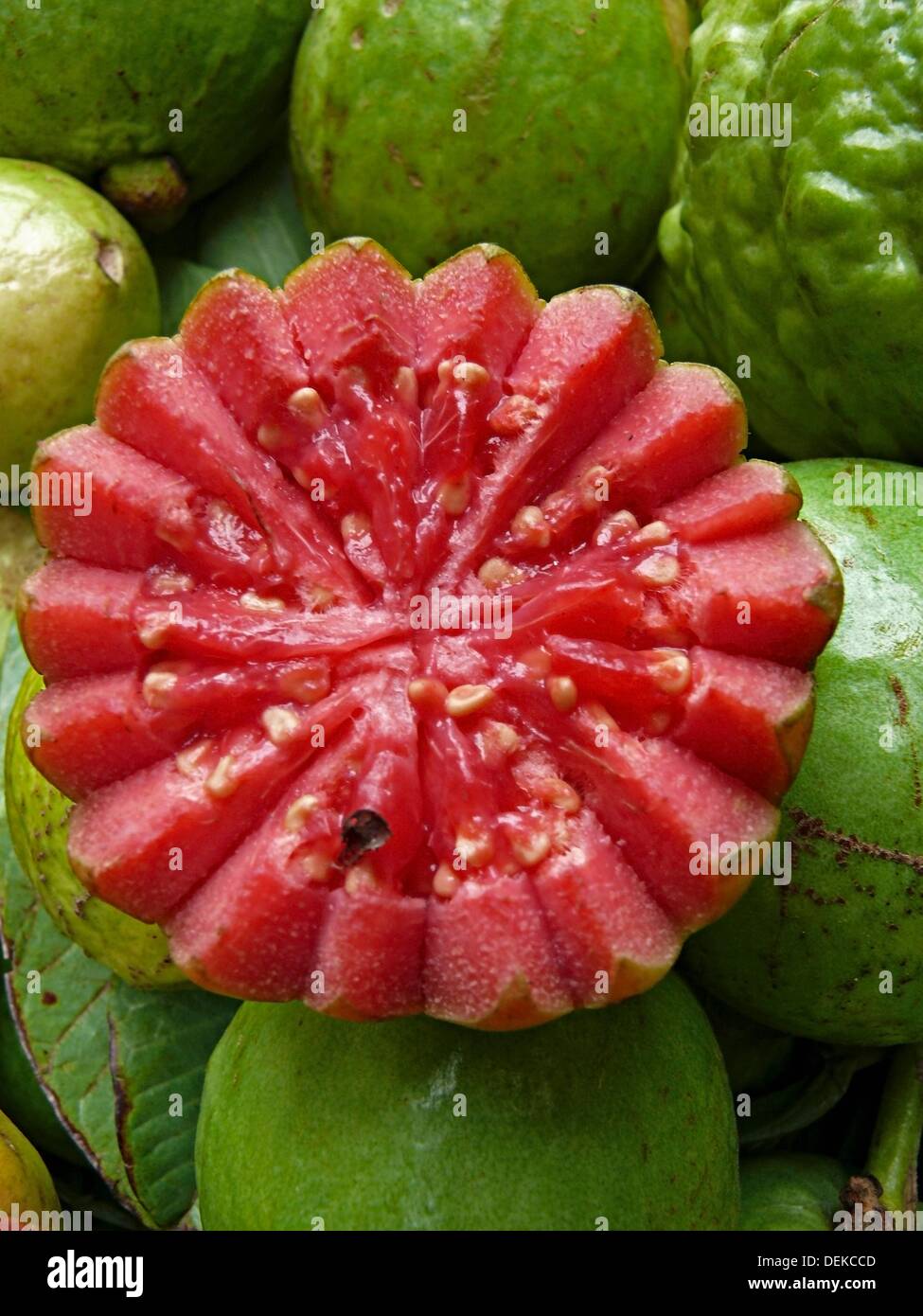 Red guavas for sale at street market hi-res stock photography and ...