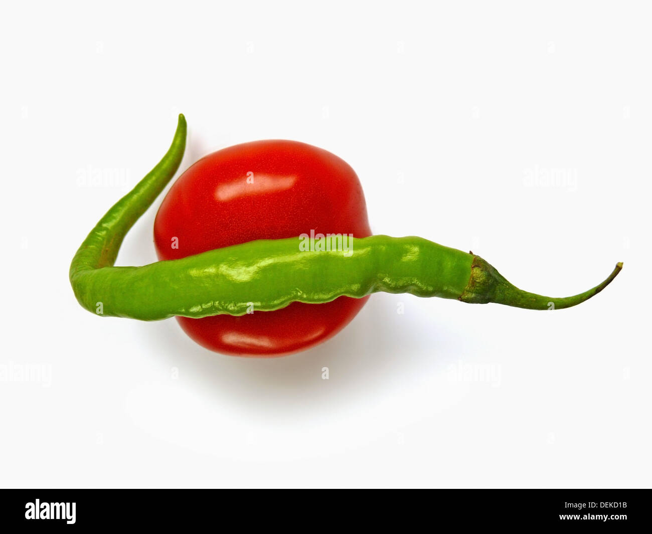 Common Chili Capsicum annuum and Tomato Lycopersicon esculentum Stock ...