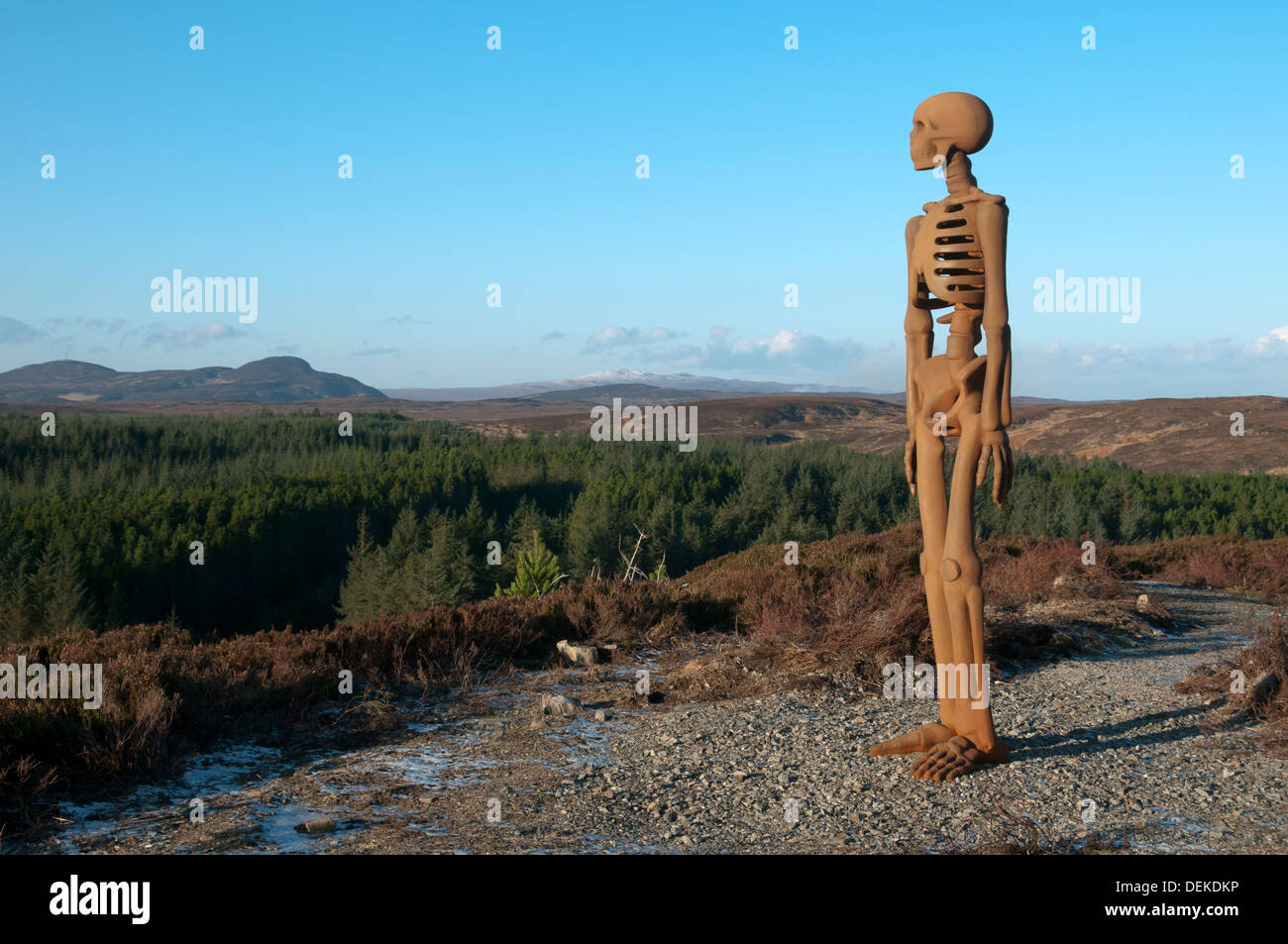 Borgie forest hi-res stock photography and images - Alamy