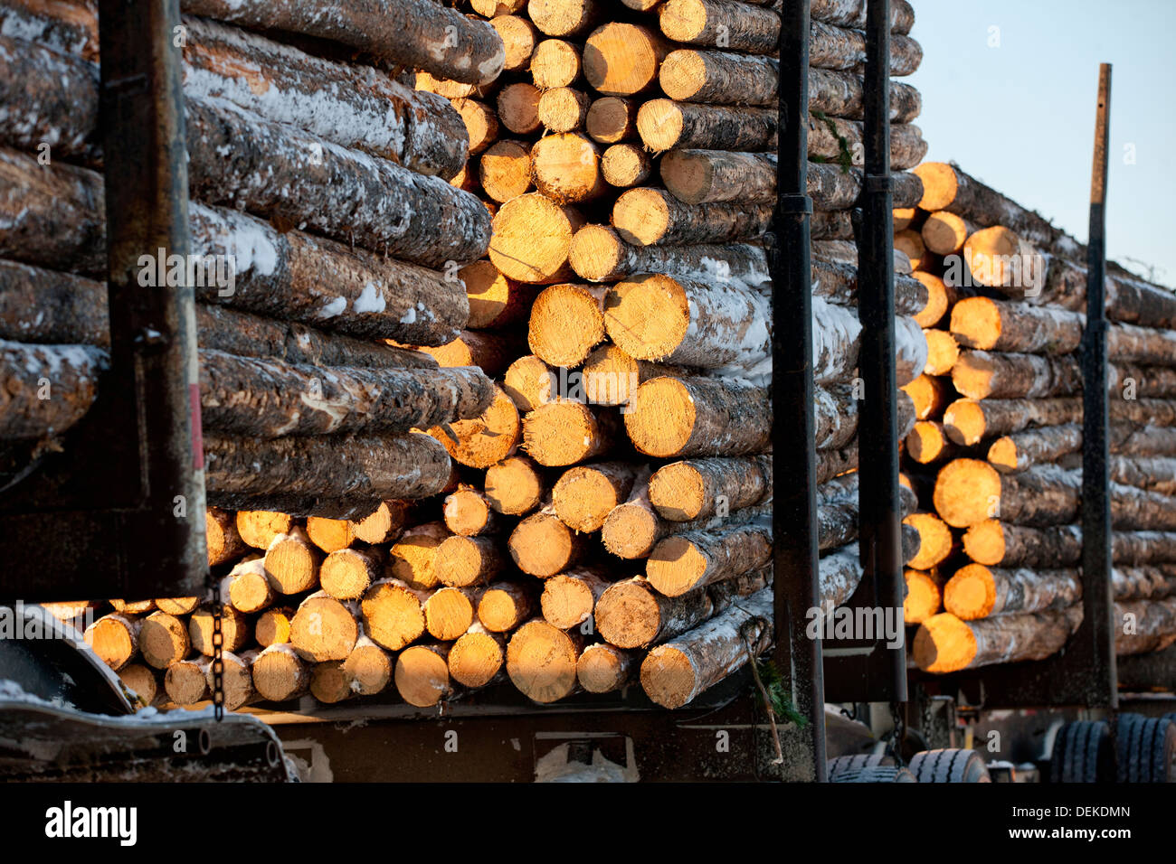 Logging truck hauling timber hi-res stock photography and images - Alamy