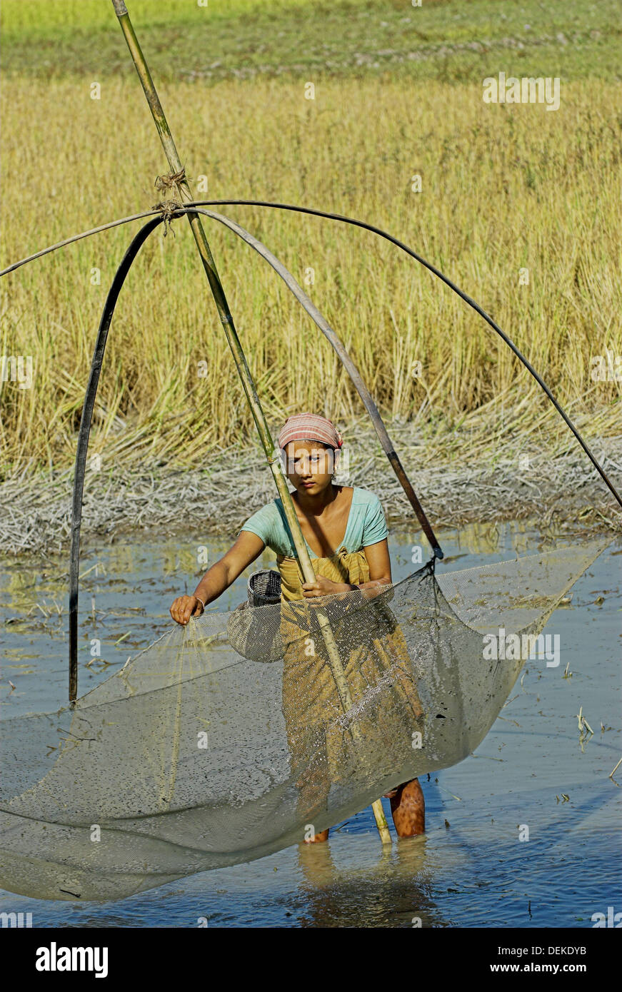 Bodo tribe assam hi-res stock photography and images - Alamy