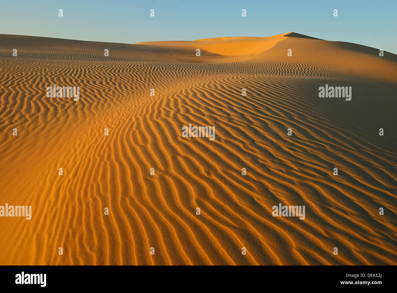 Orange sand in desert during sunset, spherical dune Stock Photo - Alamy