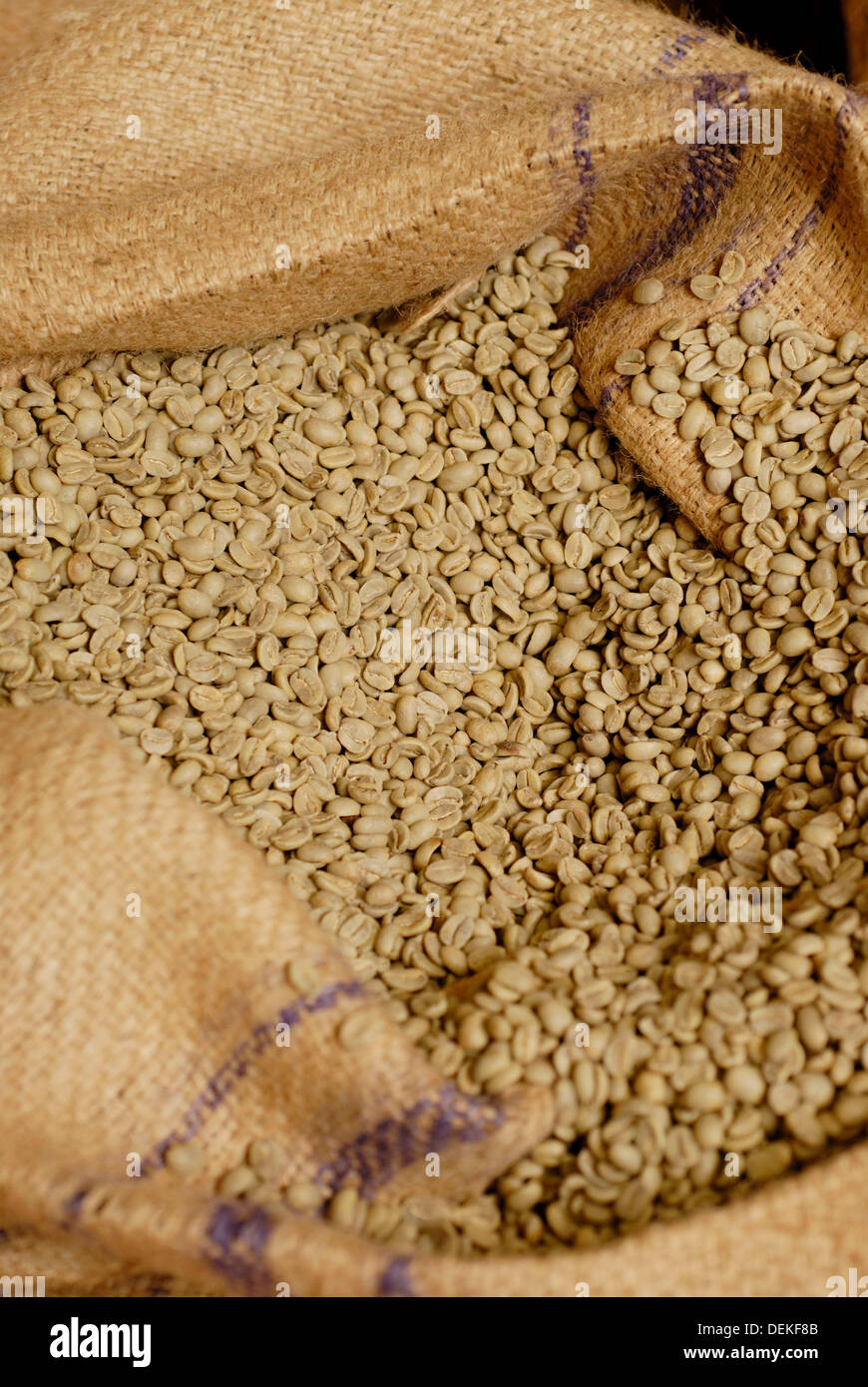 Coffee beans, Mexico Stock Photo - Alamy