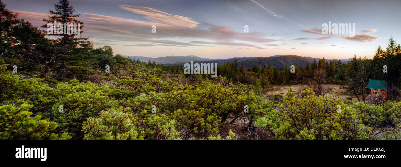 Panoramic forest view hi-res stock photography and images - Alamy