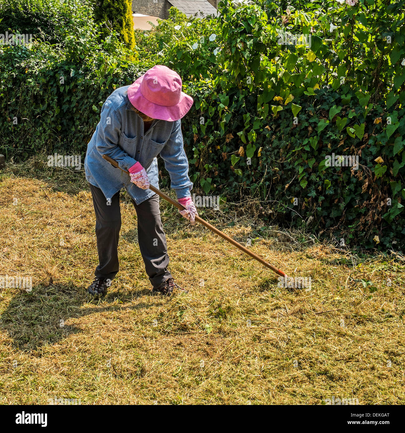 Pink garden rake hi-res stock photography and images - Alamy