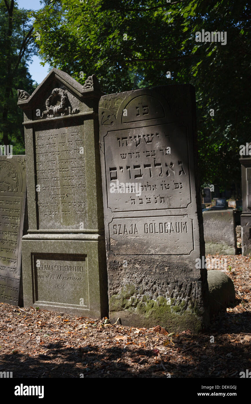 Graves and tombstones in the biggest jewish cemetery in Europe. Warsaw ...