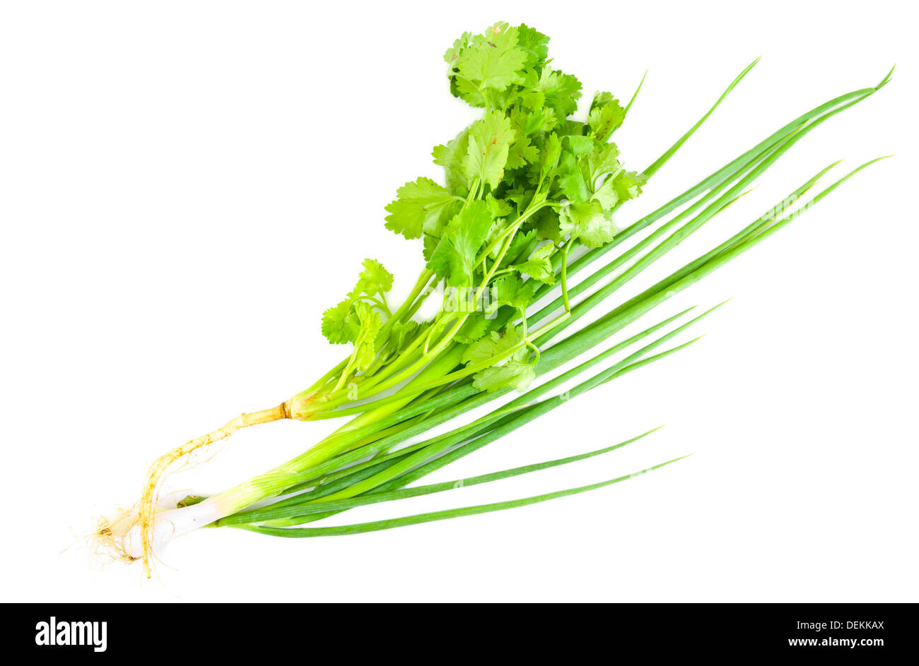 Spring onion isolated hi-res stock photography and images - Alamy