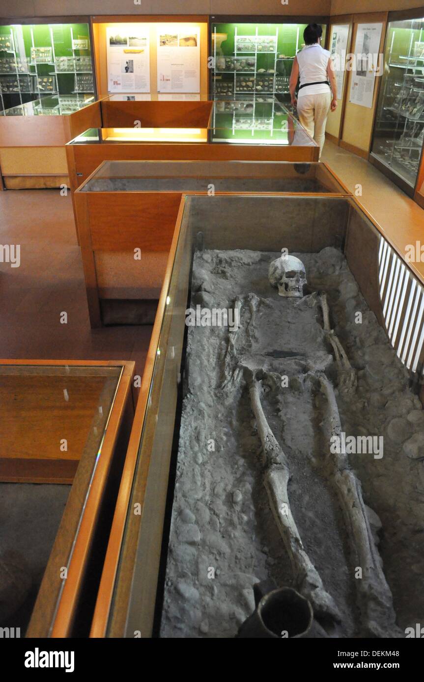 An ancient skeleton hi-res stock photography and images - Alamy