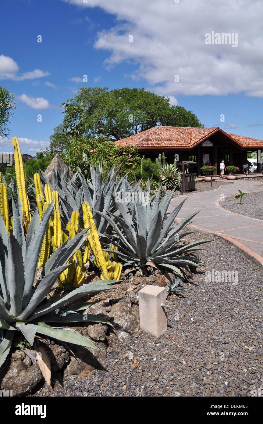 Hacienda el viejo hi-res stock photography and images - Alamy