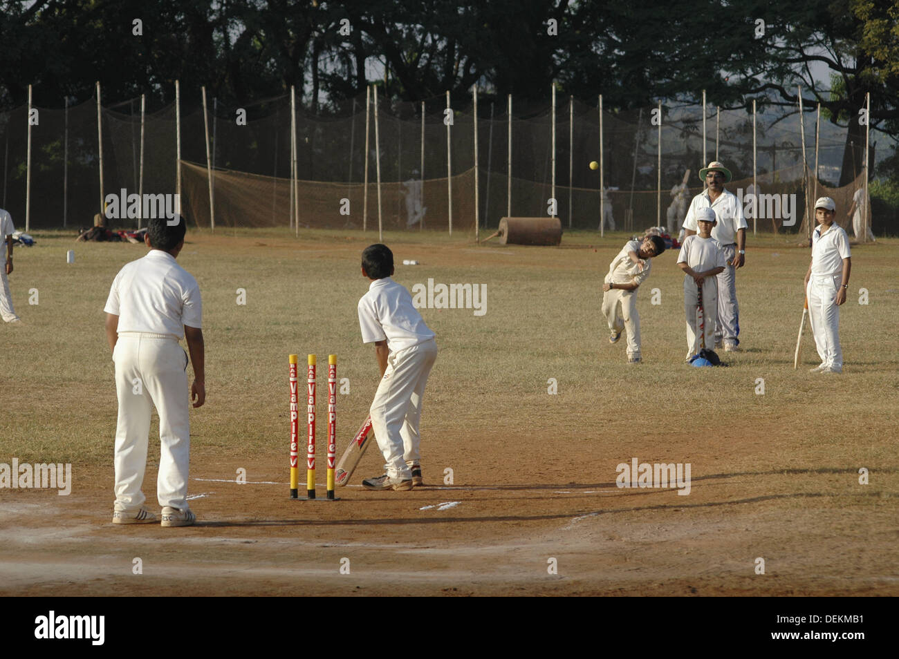 Cricket game with young kids hi-res stock photography and images - Alamy