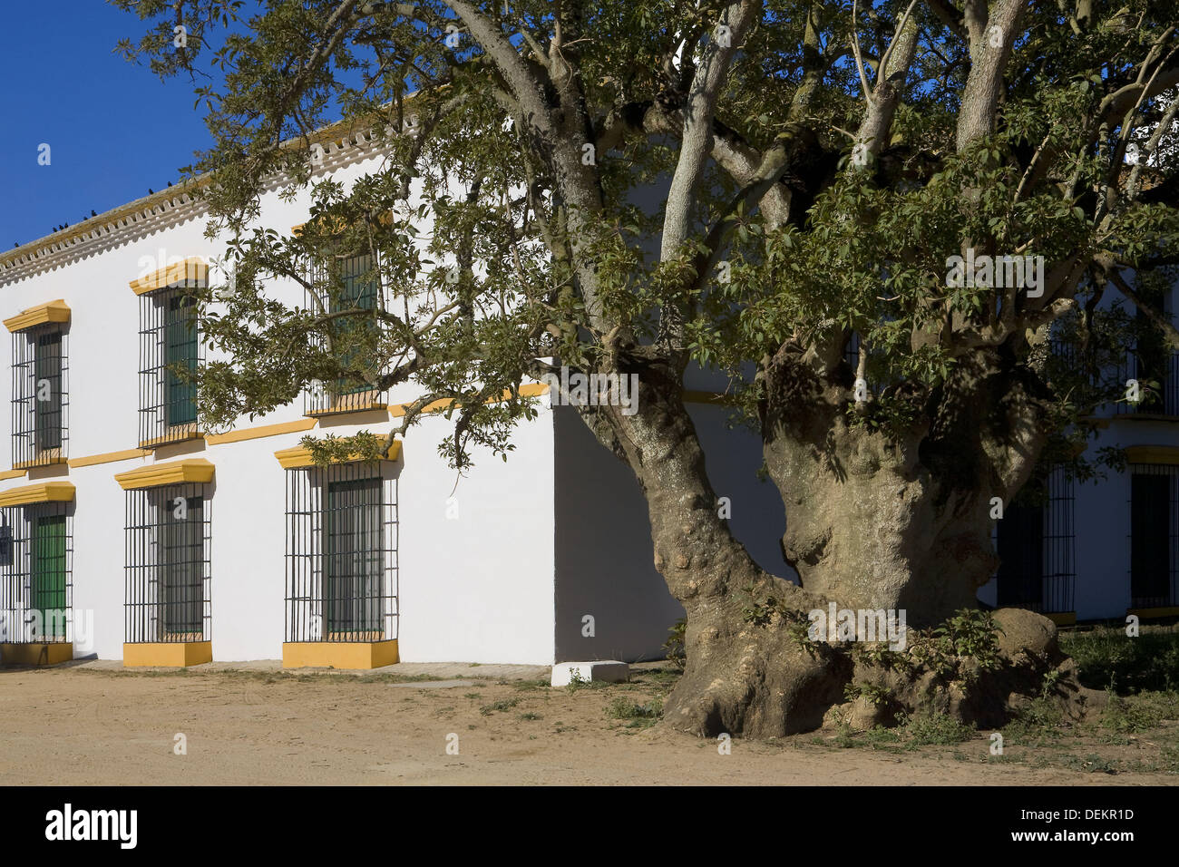Csic building hi-res stock photography and images - Alamy