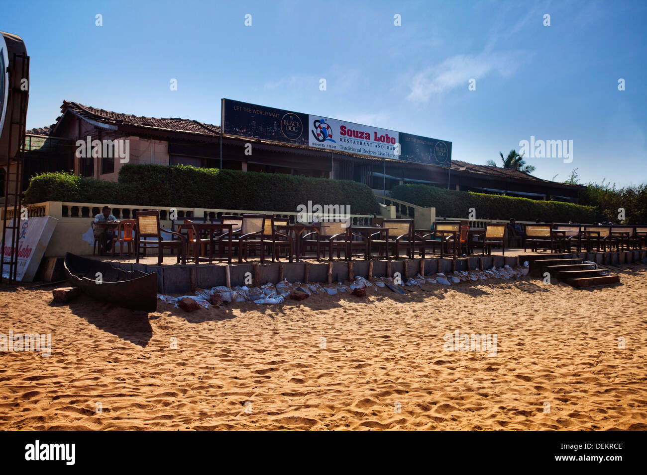 Lobo india hi-res stock photography and images - Alamy