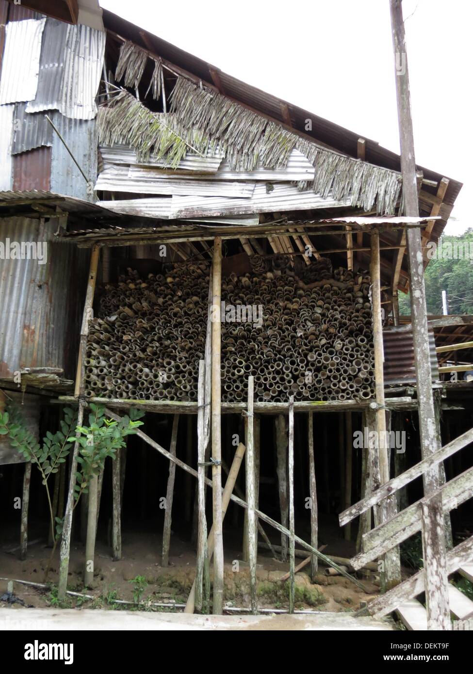 Anna rais longhouse hi-res stock photography and images - Alamy