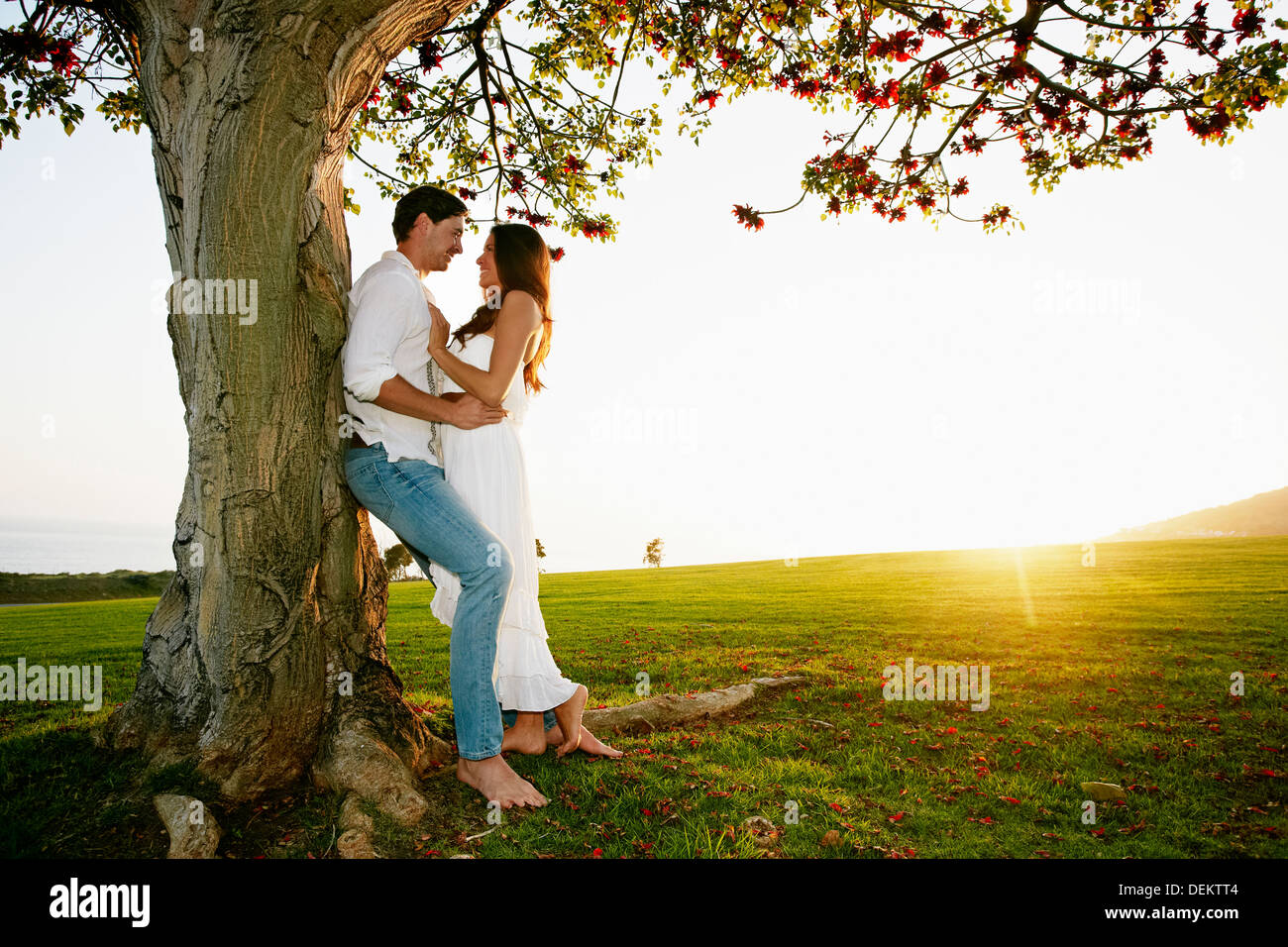 Couple hugging tree hi-res stock photography and images - Alamy
